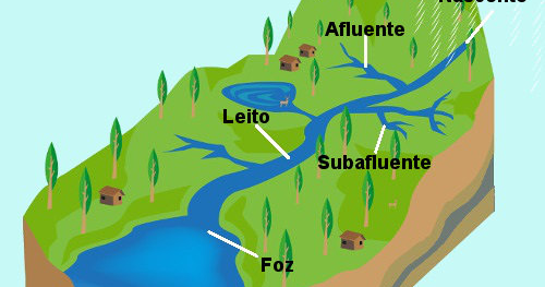 Aulas de ciências: Revisão -parte do rio - 3.º e 4.º