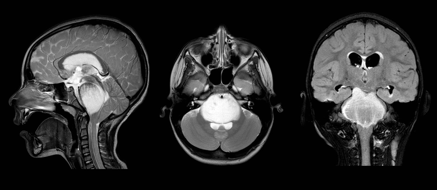 The Keller Laboratory at cc-TDI: Scientists from 13 institutions ...