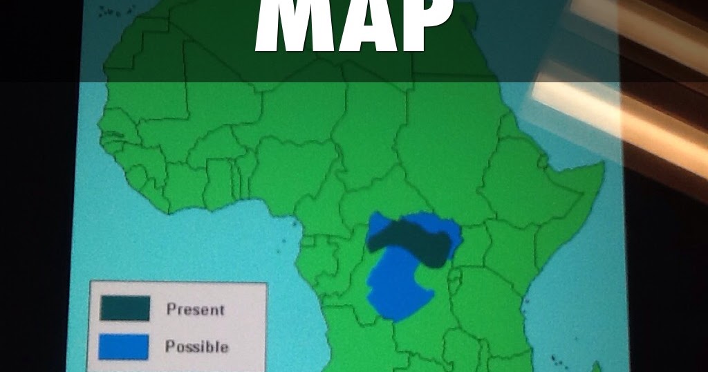 Fun And Amazing Okapis: okapi's habitat