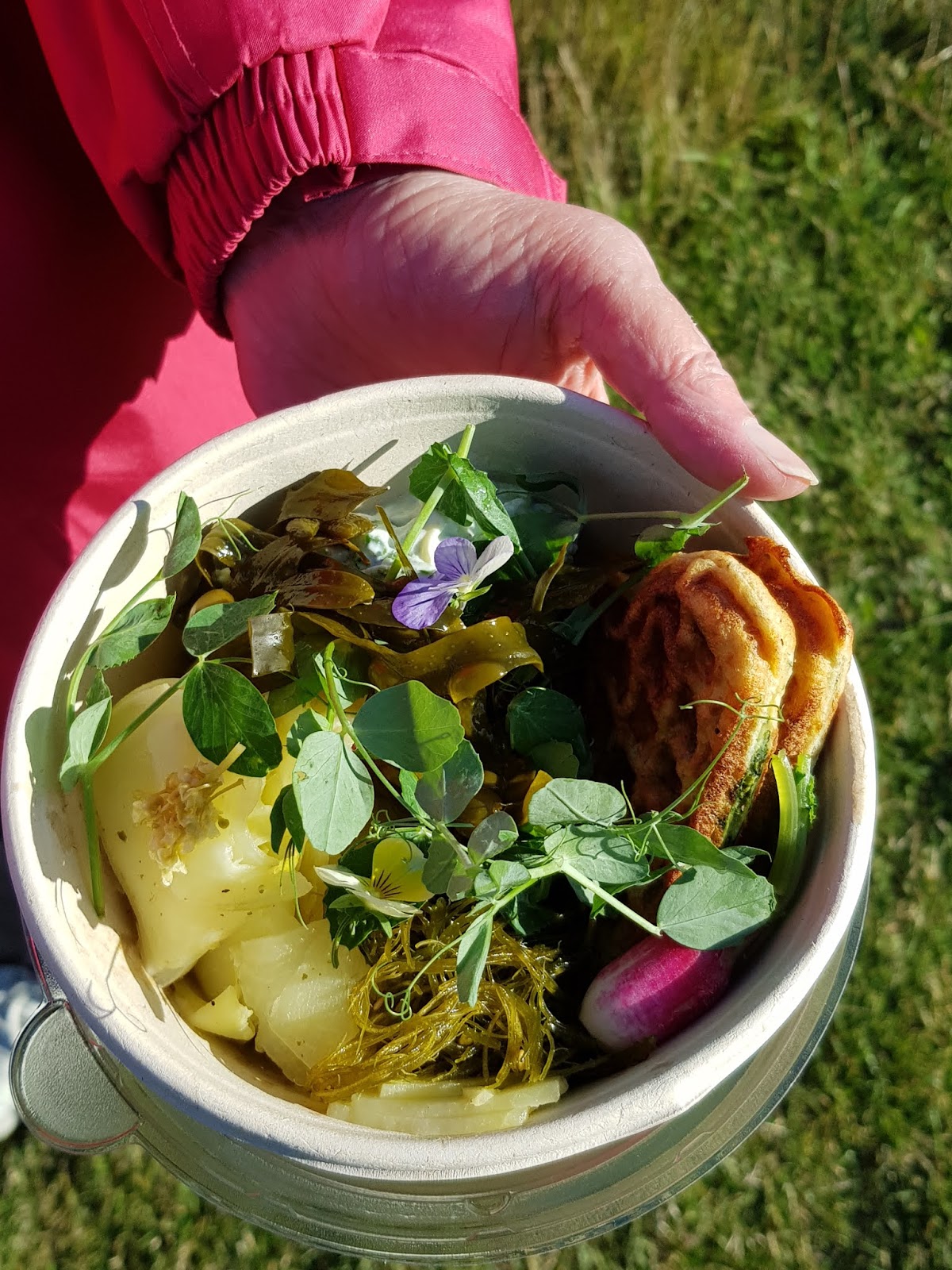 KAN MAN SPISE TANG? OG DRIKKE TANG-ØL