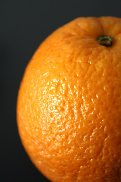 Blog 75: Recettes Conserves-Liqueur d’oranges