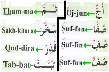 Learn Tajweed and Quraan Free: Example Of Step 8 Tashdeed