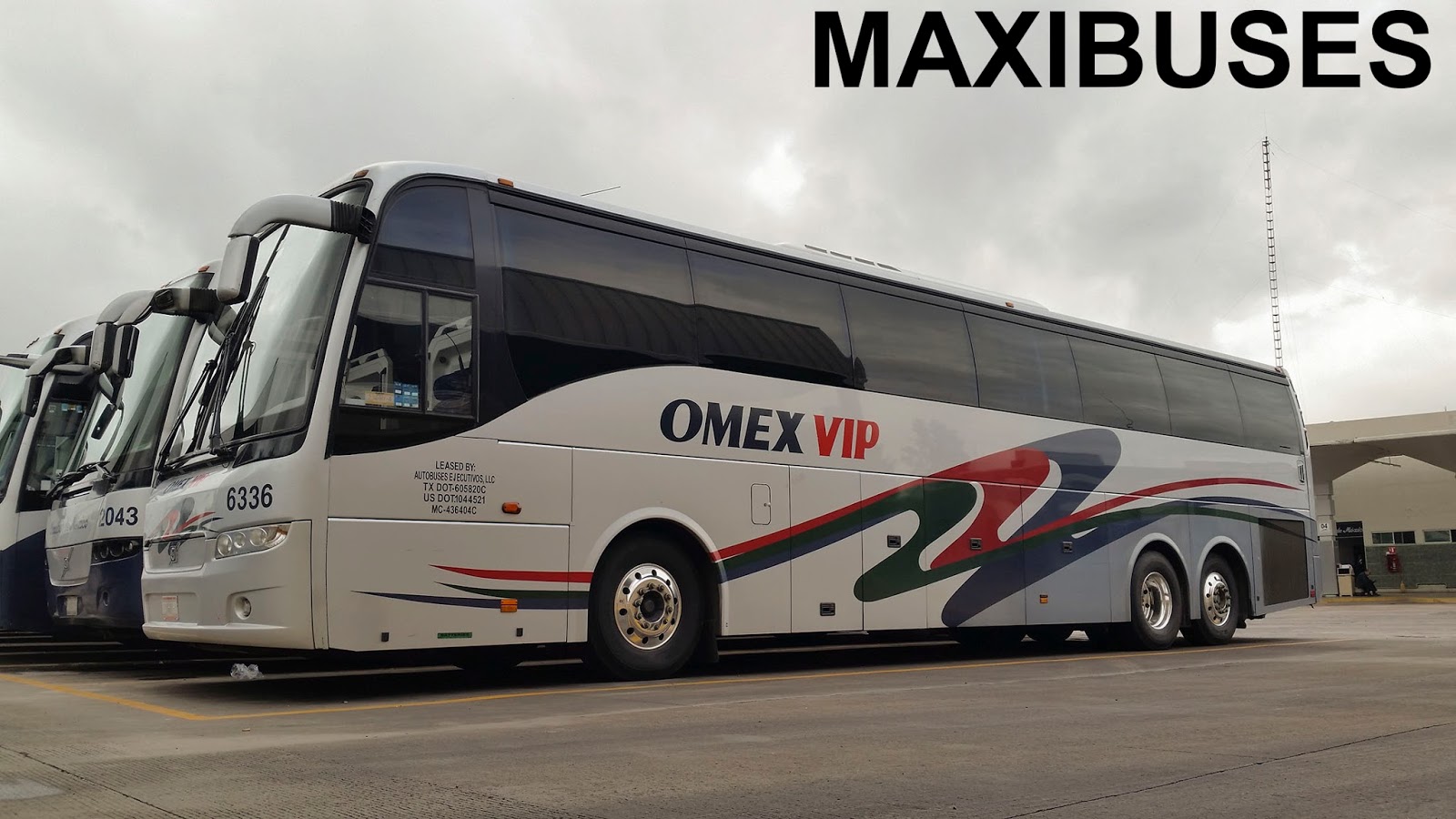 MAXIBUSES: OMNIBUS MEXICANOS - OMEX VIP