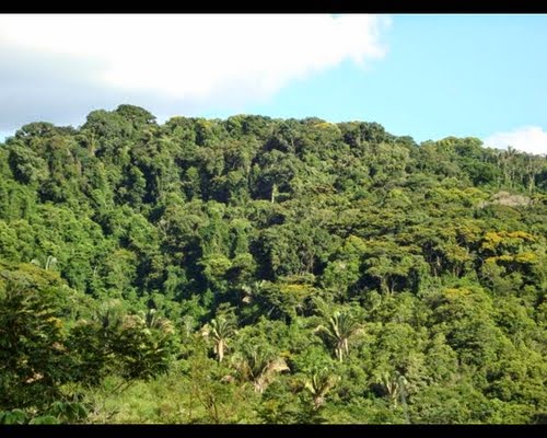 Felipe Belo Fotografia: Historia do Brejo, Belezas Naturais, Lugares ...