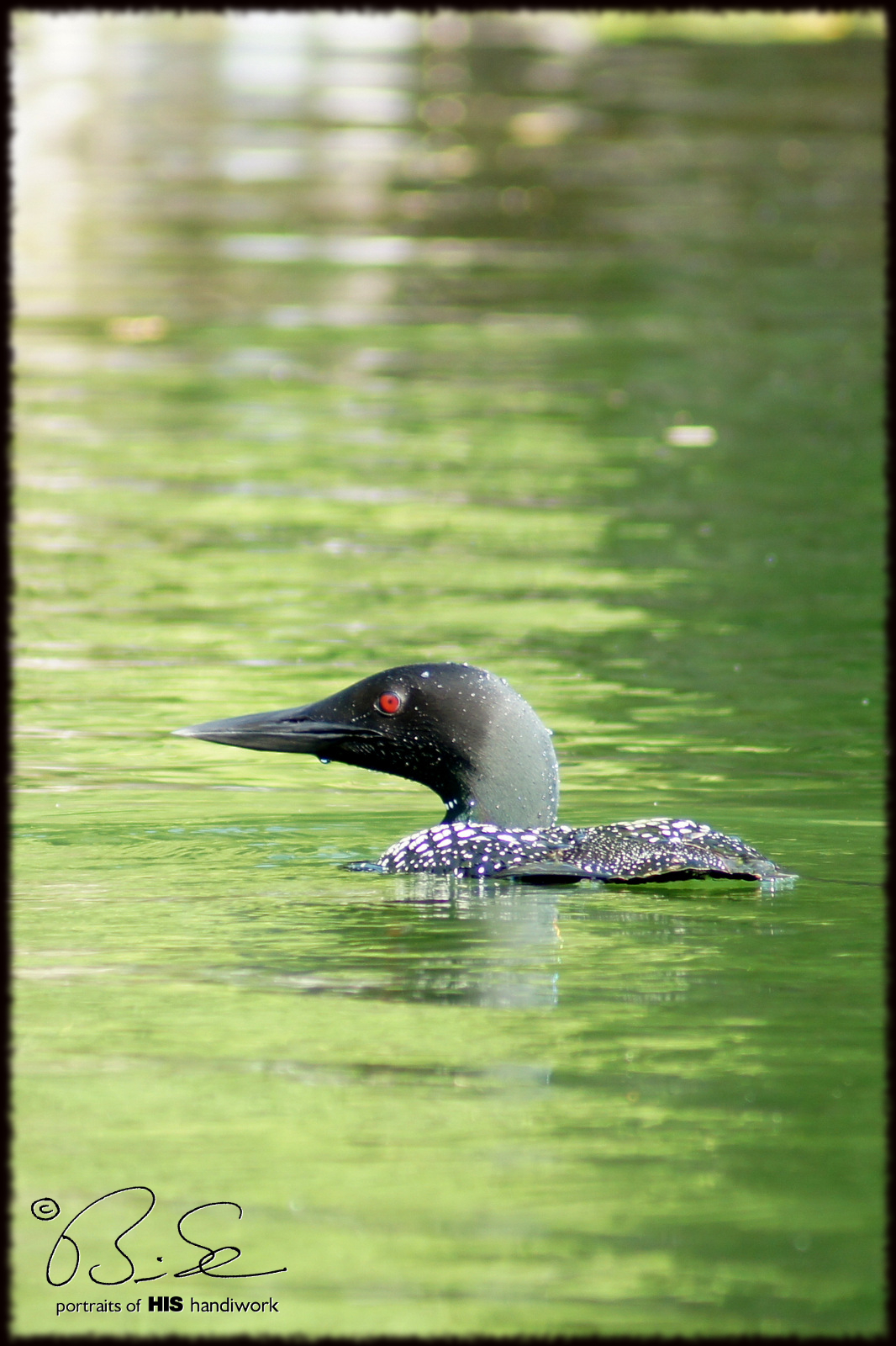 portraits of HIS handiwork: Shots from the Lodge - Part 1