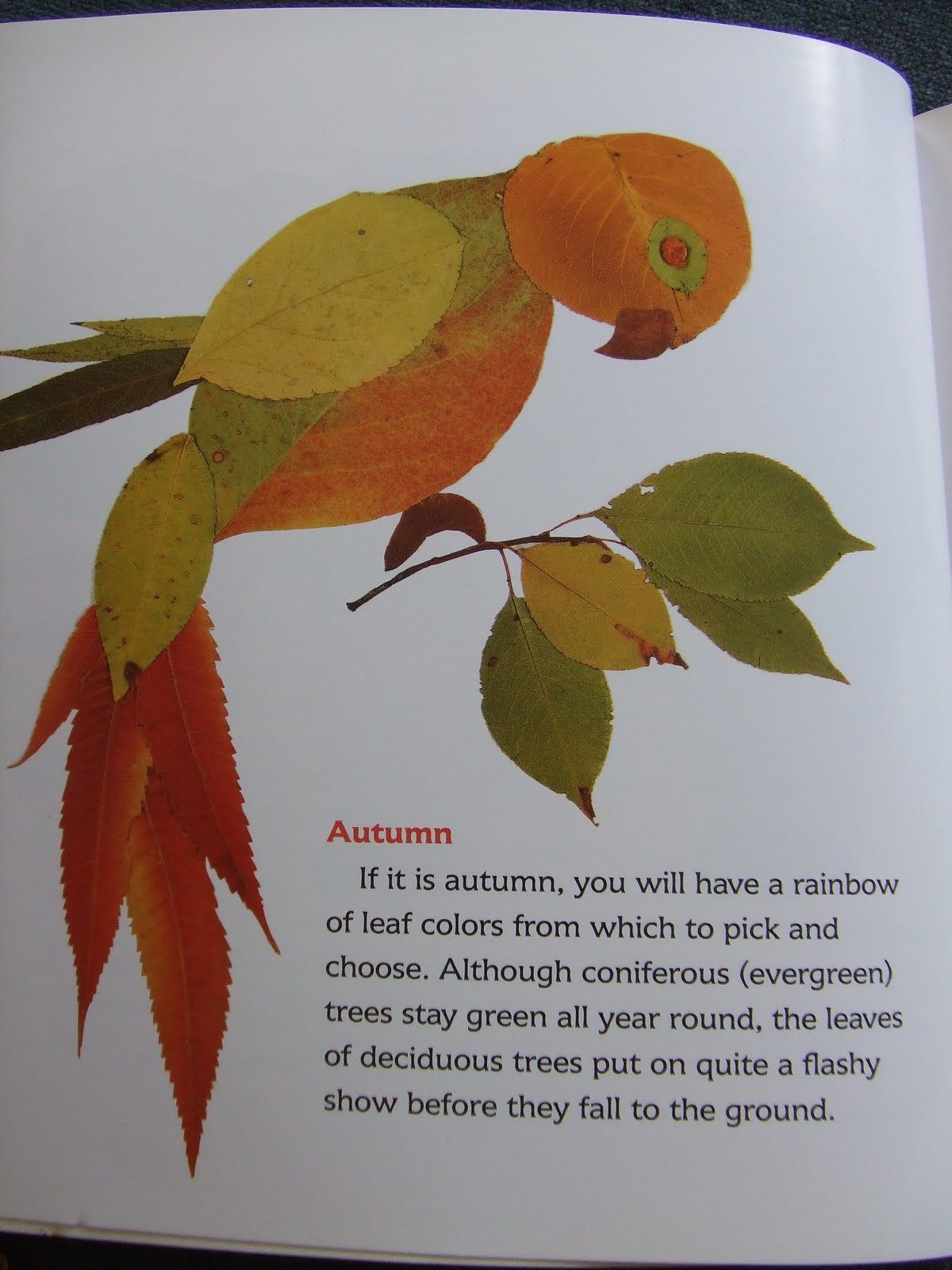 Cachey Mama's World of Learning: Storytime Sunday:Fall Leaves