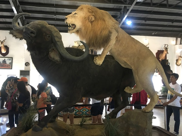 Baluarte Ilocos - Vigan, Ilocos Sur