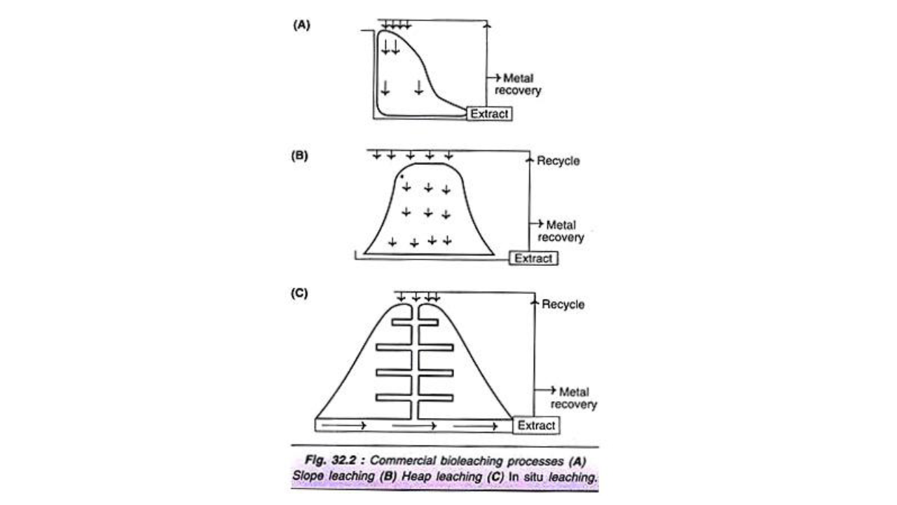 Bioleaching and Process