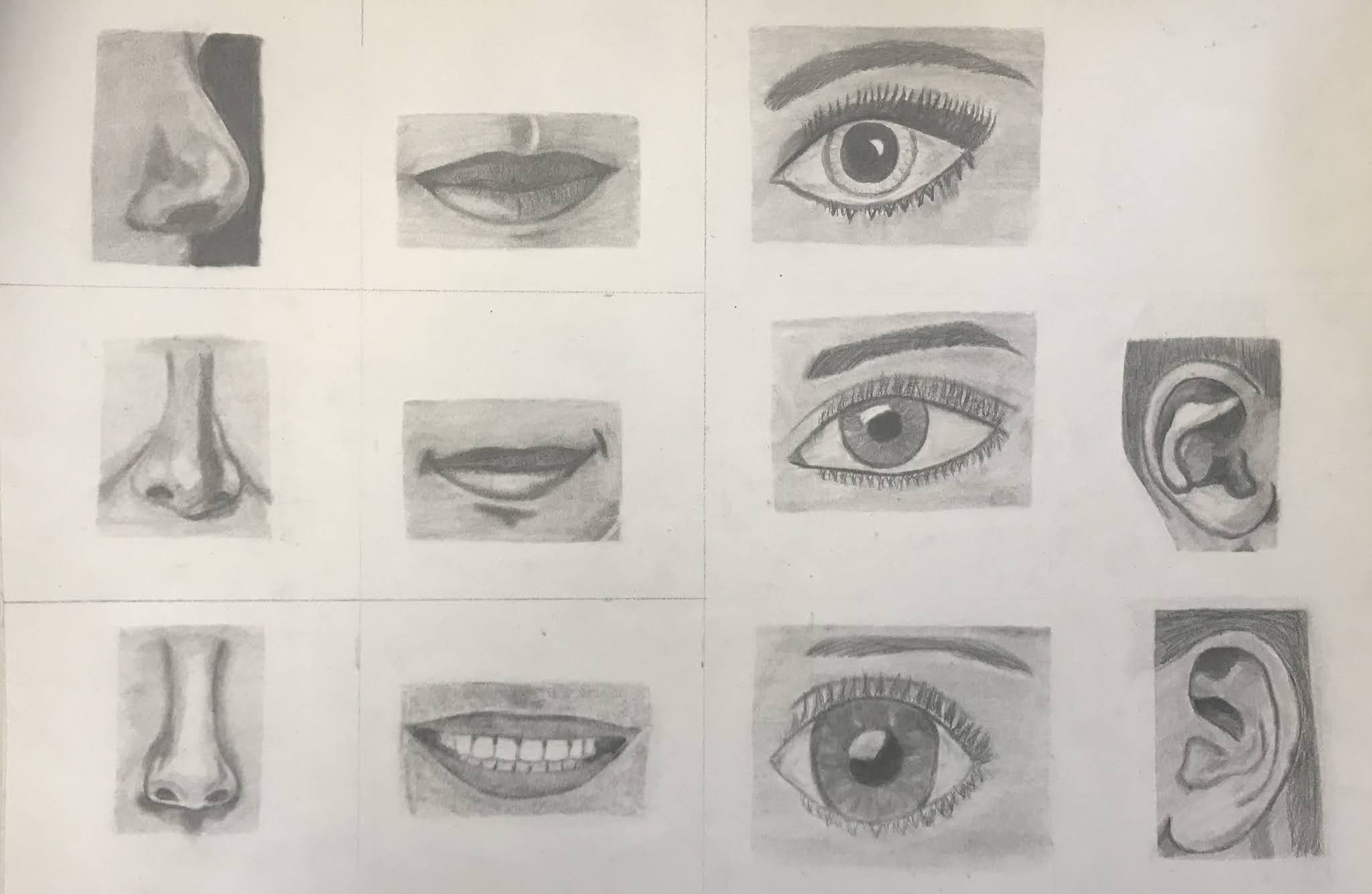 Art 1- Facial Features