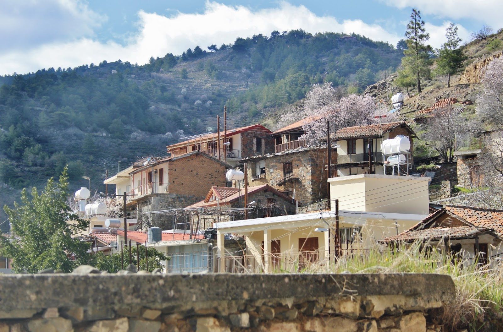 Biodiversity of Cyprus by NGO Protection of the Natural Heritage and ...