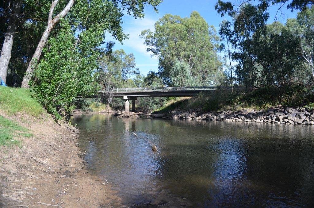 Kiwikoala: Ulysses,Wonderful Cheeries and Melbourne.