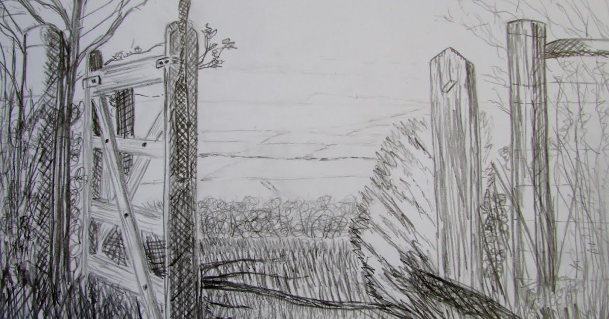 Isle of Wight Art Classes: More Basic Drawing Course - March 2016