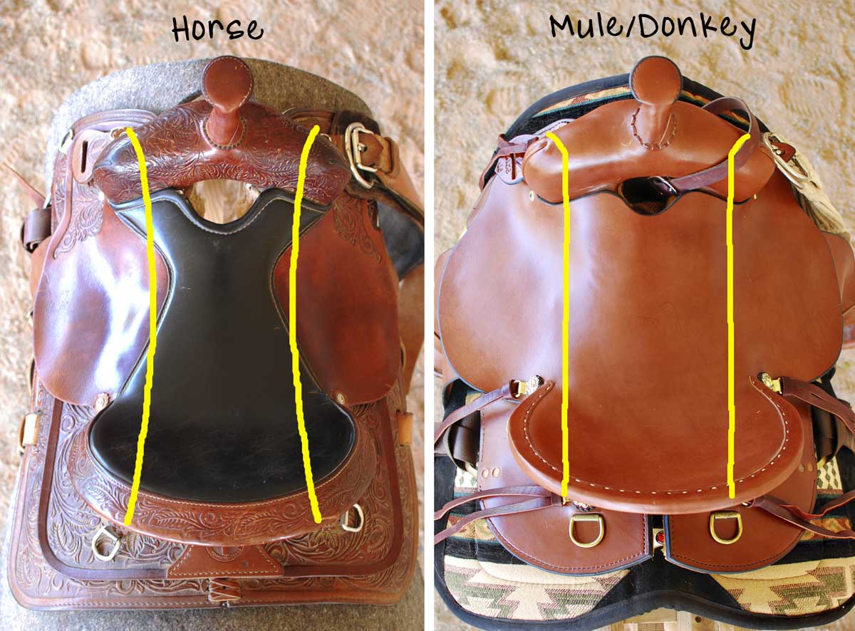 The 7MSN Ranch: Mule Bars