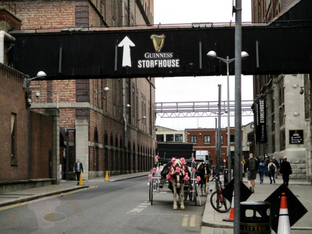 Guinness Storehouse, Dublin