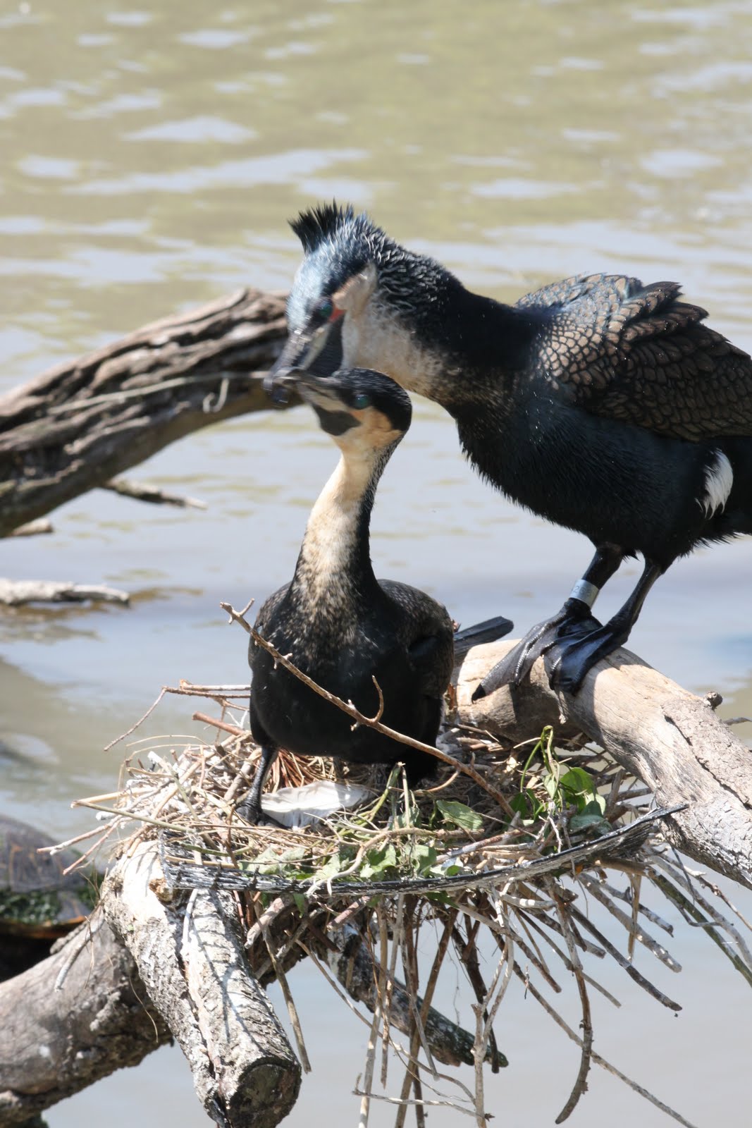 The Robertson Family: New Orleans Zoo