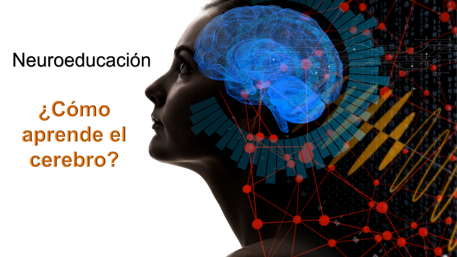 Neuroeducación, ¿cómo aprende el cerebro?
