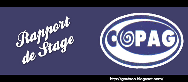 Rapport de Stage : COPAG ! - Gesteco