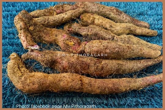 तरूड़, तौड़ या तैड़ू - Dioscorea deltoidea