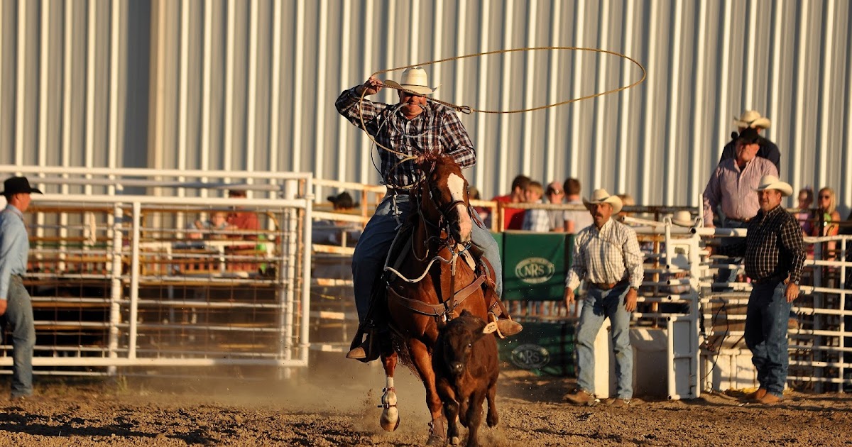 Mark Chitwood Photography: Washington County Fair 2