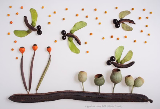 Creative pictures made of seed and seed pods ~ art crafts ideas