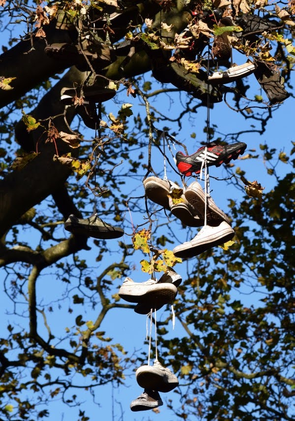 Photographs Of Newcastle: Armstrong Park - The Shoe Tree