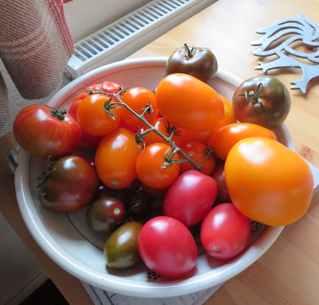 Rustic Tomato Pie | The English Kitchen