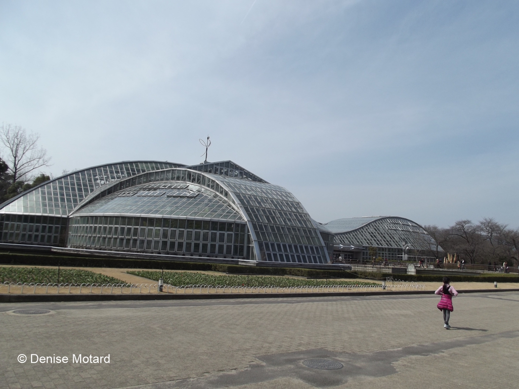 KYOTO BOTANICAL GARDENS CONSERVATORY