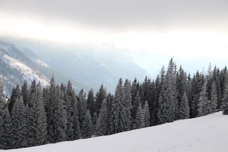 Tatry Polskie zimą - 10 szlaków na dobry początek | Góromaniacy