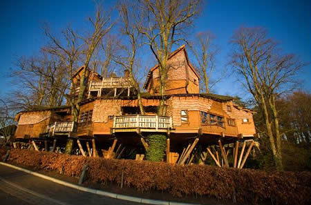 Extremely distinct expensive tree houses - twenty ranking