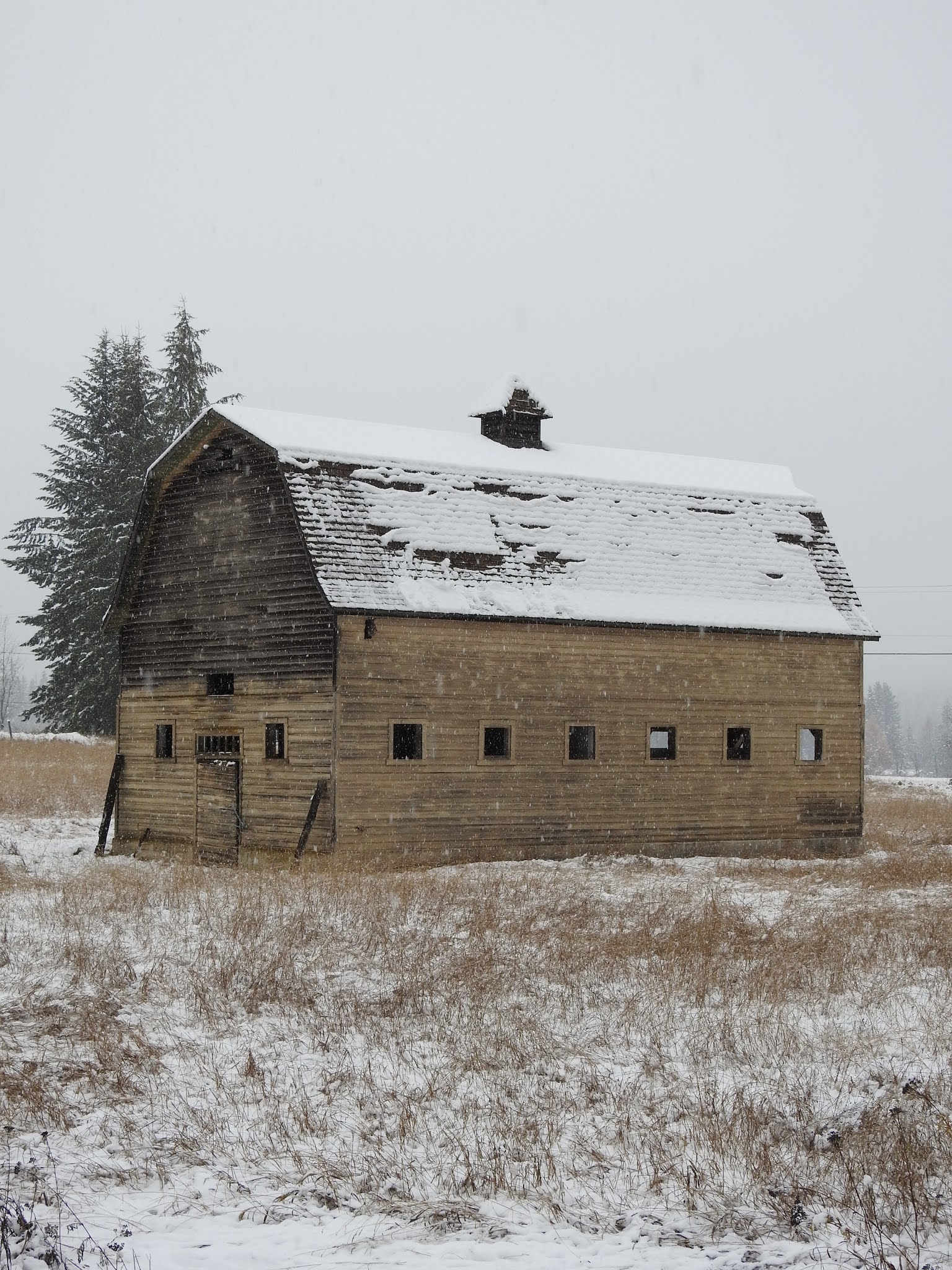 The view from here: Barn in Harrop, BC - November 13, 2020