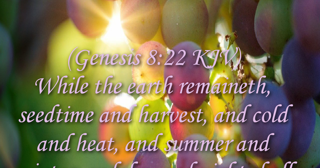 BIBLE MISINTERPRETATION: GENESIS 8:22 - SEEDTIME AND HARVEST