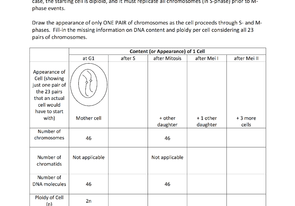 Ploidy - In Human Cells 2n 46