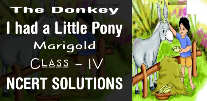 The Donkey class 4 NCERT Solutions - edunation19
