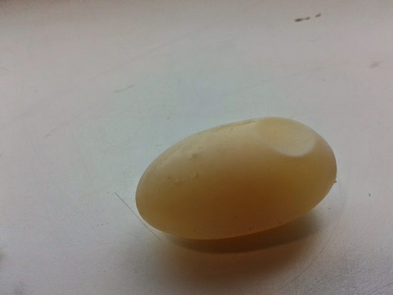 Clemmys guttata: The spotted turtle: More about dented eggs