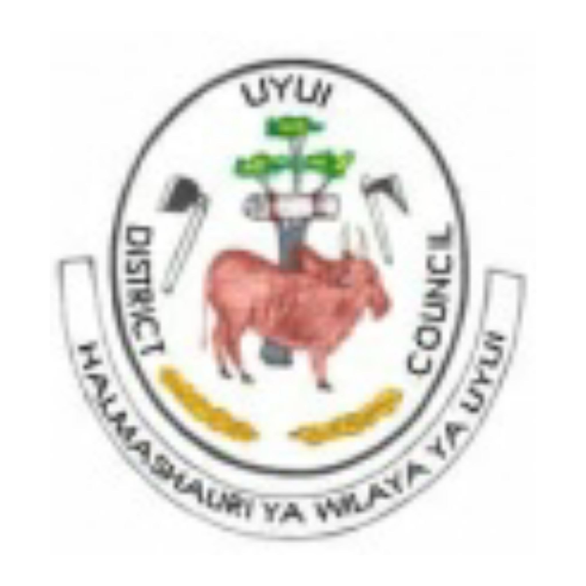 Uyui District Council Jobs, March 2021