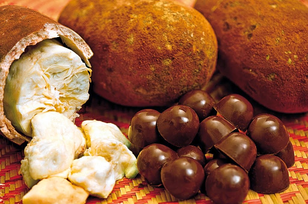 POR UM MUNDO MELHOR....: Conheça melhor a fruta Cupuaçu: