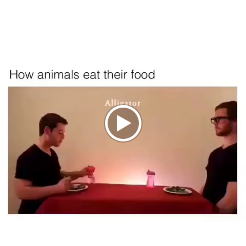 Funny Jokes Office Humor