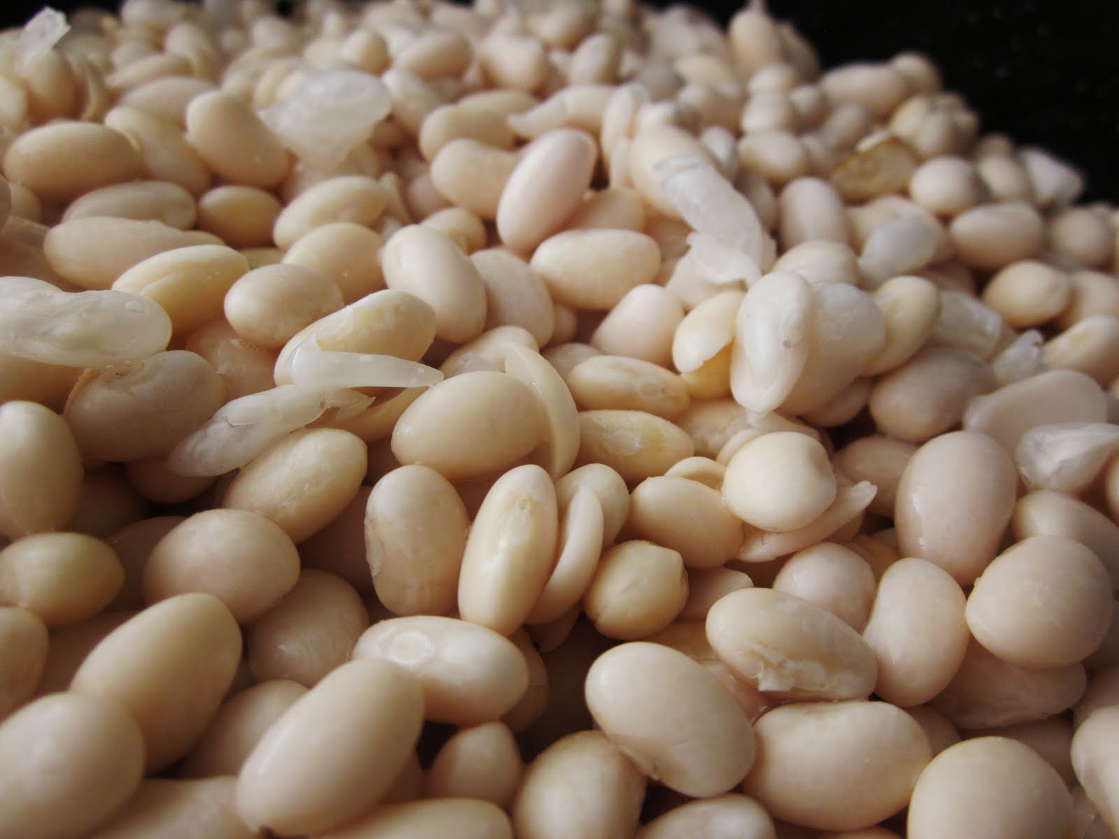 Preparing Wisely: Basic Boiled Beans (Some Staple Cookery 101 from Chef ...