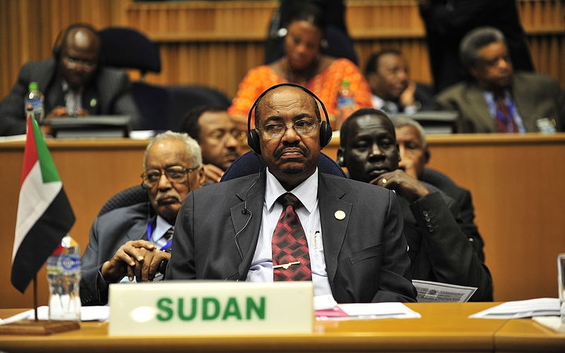 Culture and Human Rights: Is the Al Bashir Case at the International ...
