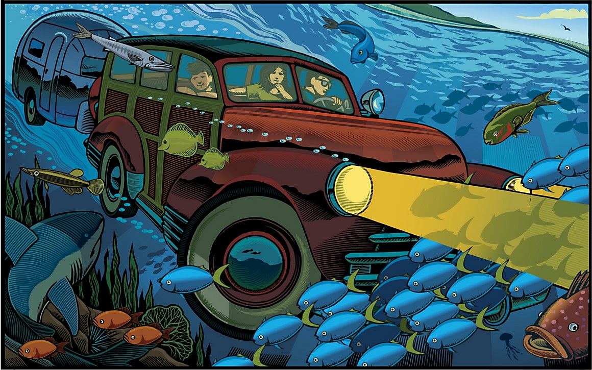 NO MEMORY: CHRIS GALL: ARTWORK