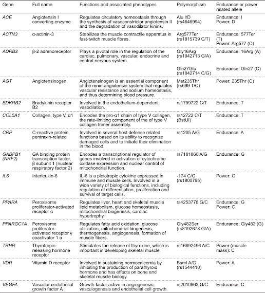 Training in Line W/ Your Genetic Potential Can Boost Your Performance ...