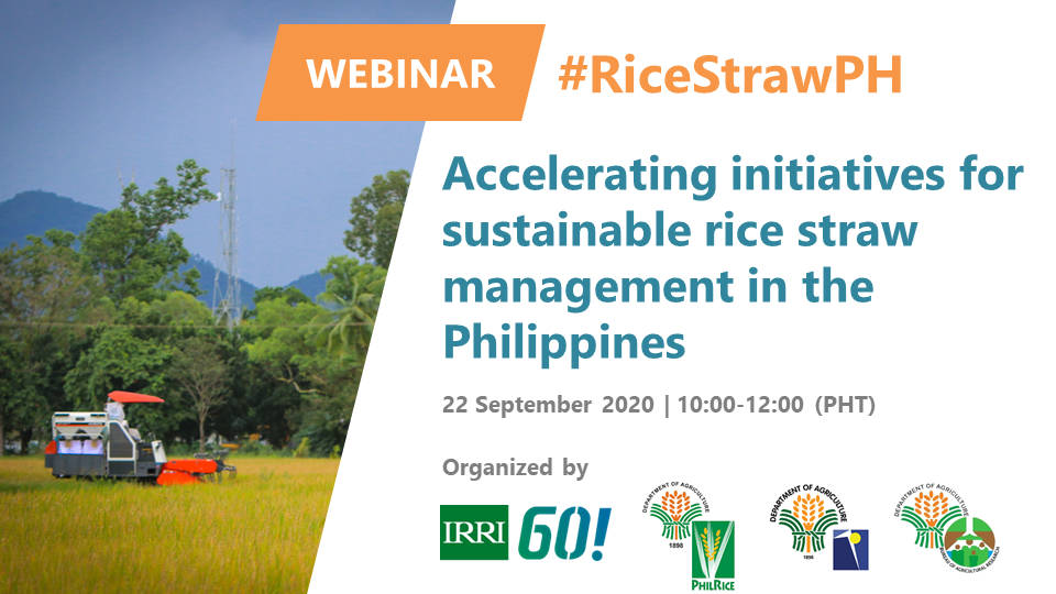 IRRI News: Philippine rice straw project conducts virtual events for ...