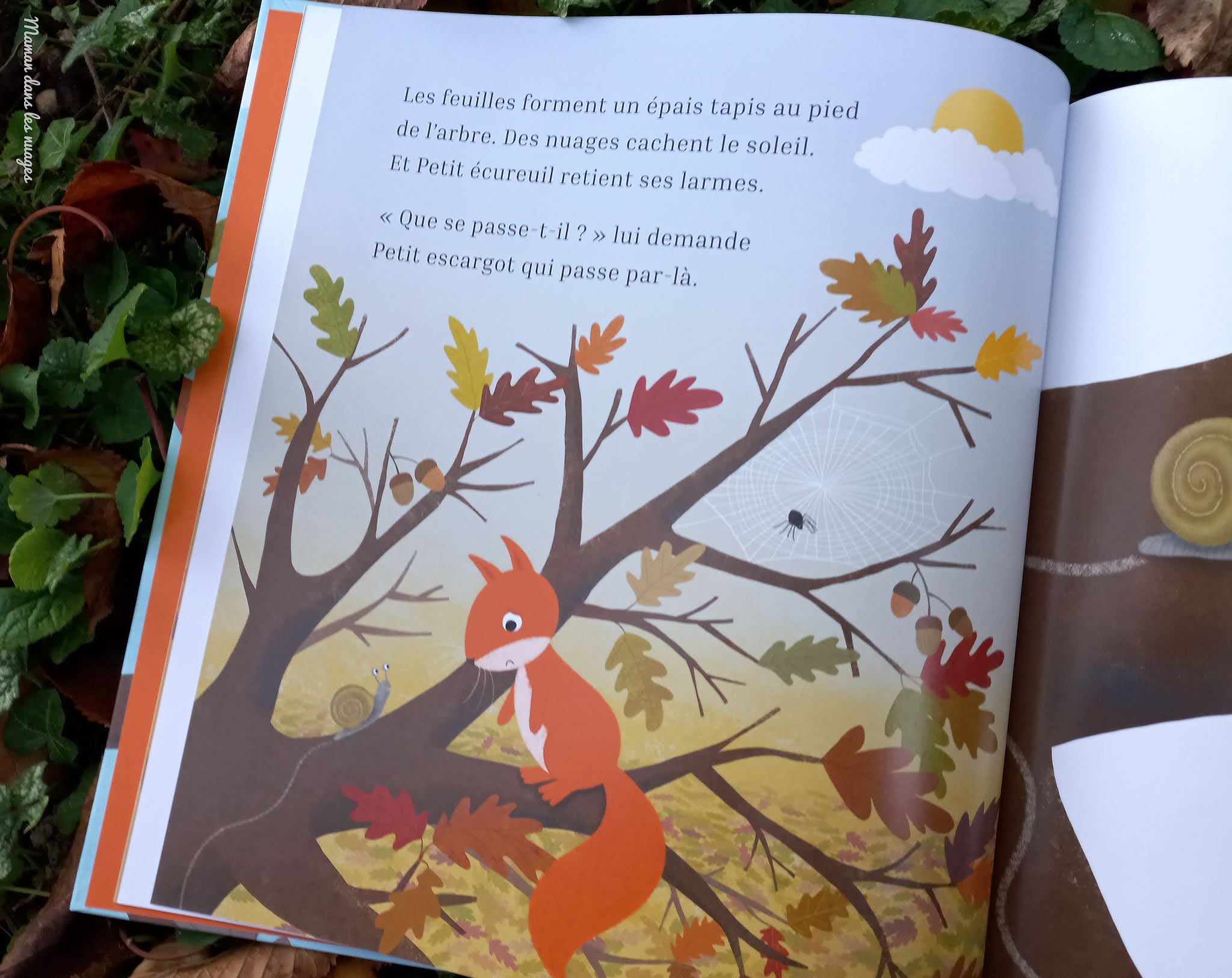 Maman dans les nuages: L'automne de Petit Ecureuil