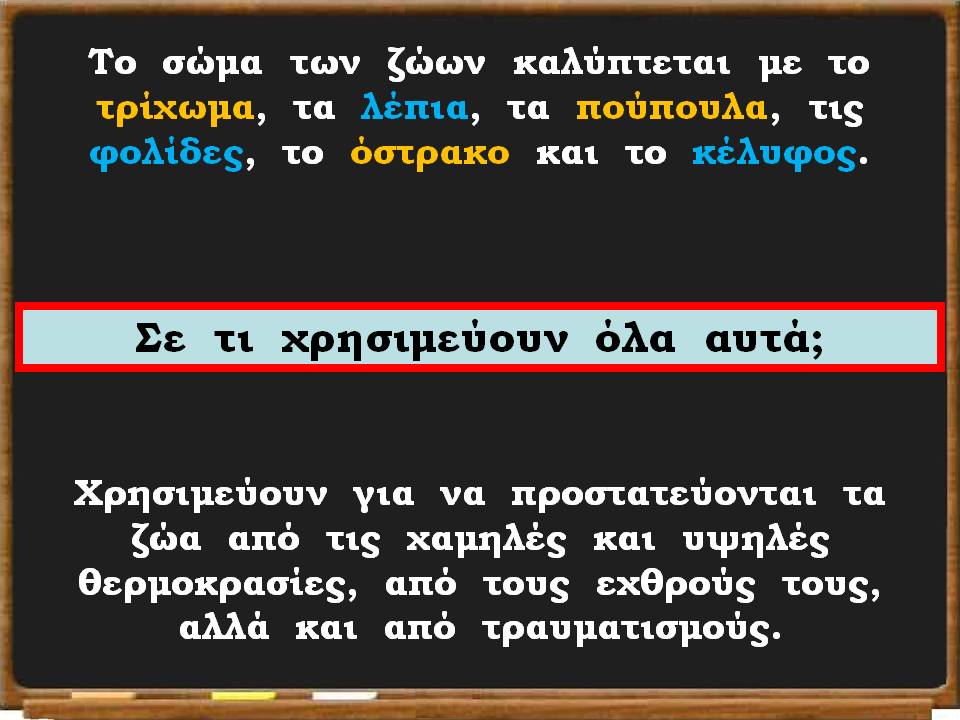 Παίζω και μαθαίνω: ΤΑ ΖΩΑ