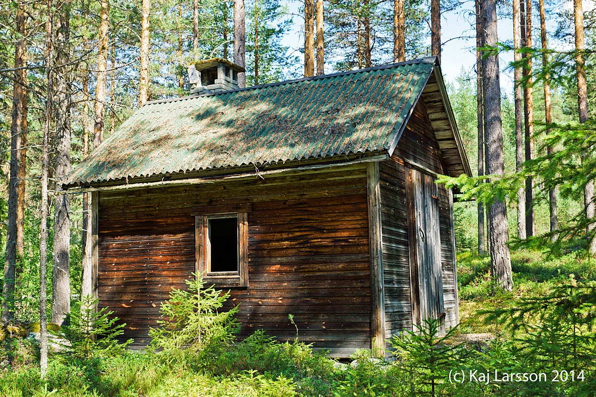 Glesbygdsbilder: Litet hus i skogen