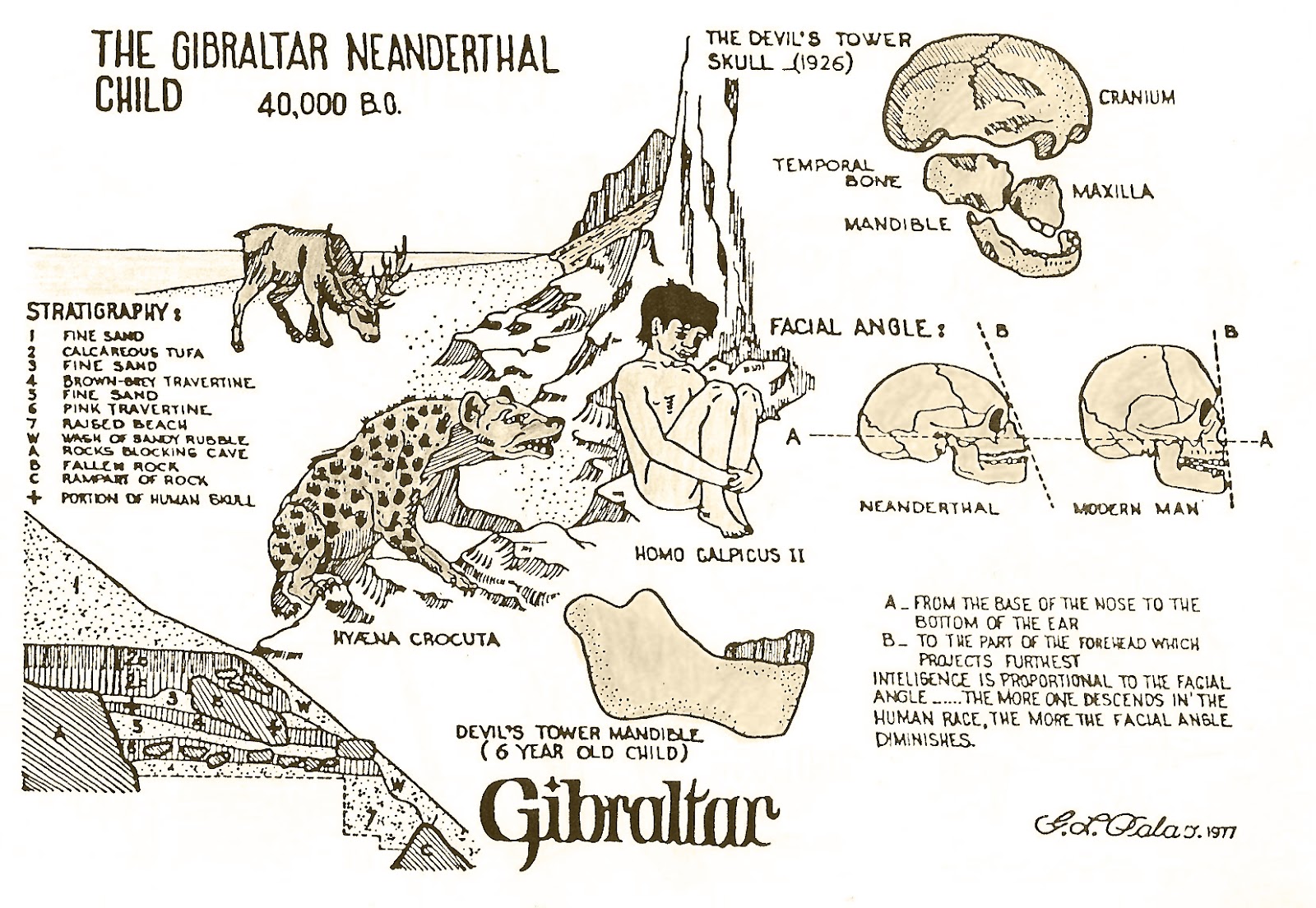 The People of Gibraltar