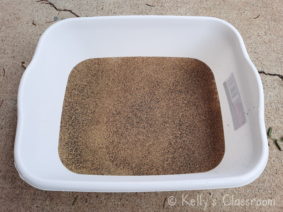 Kelly's Classroom Online: How Soap Works: Pepper and Soap STEM Experiment