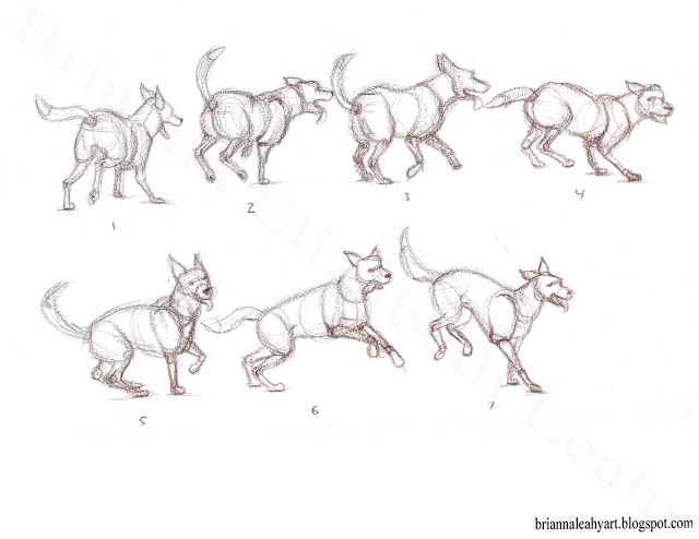 Art Adventures Blog: Animal Motion Studies