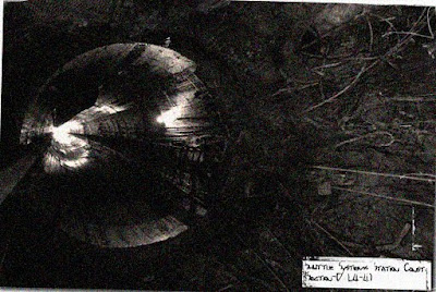 Phantoms and Monsters - Real Cryptid Encounter Reports - Fortean ...