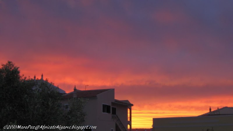 Africa to Algarve: Sunset over the rooftops